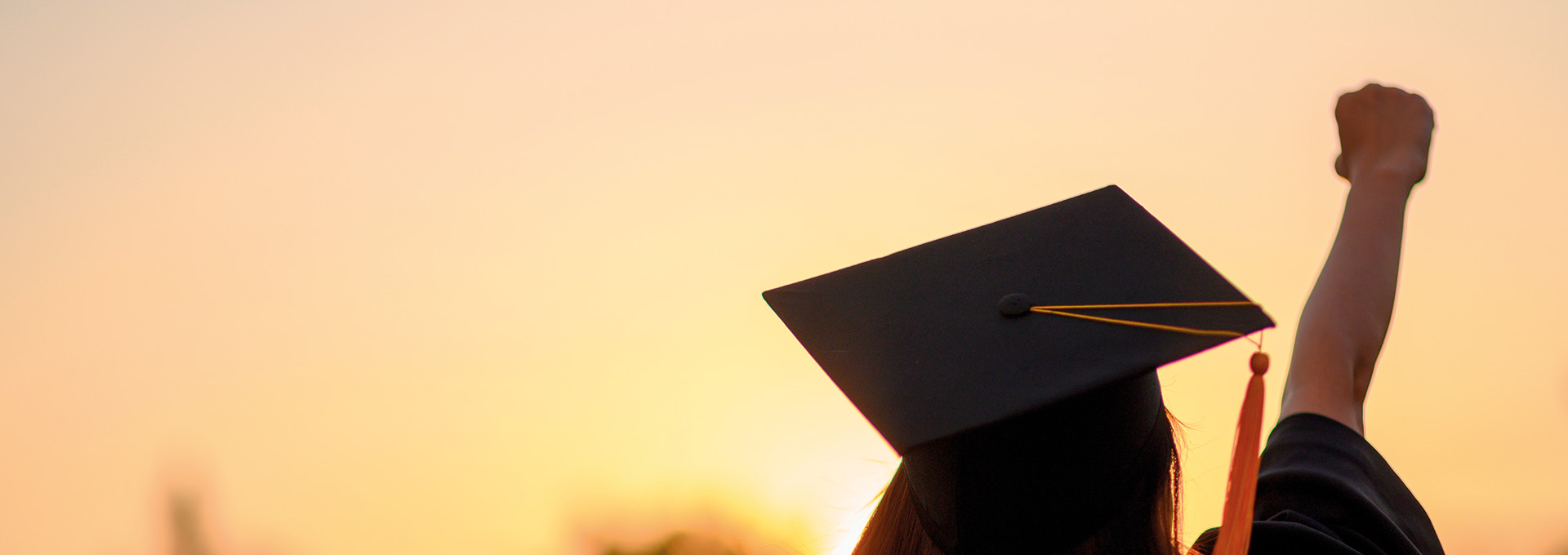 International Student Attraction - Business Development and Support ...